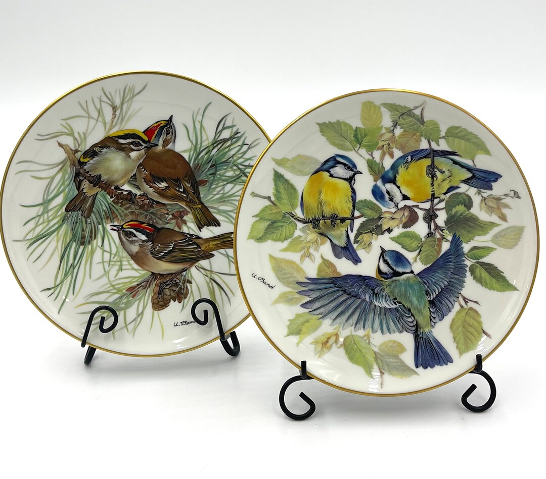 Vintage Bird Plates: Set of 2 Hand-painted World Wildlife Decor (Z9-5 ...