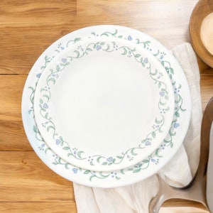 Country Cottage by Corelle Dinner Plate and Salad Plate Set Bridal ...