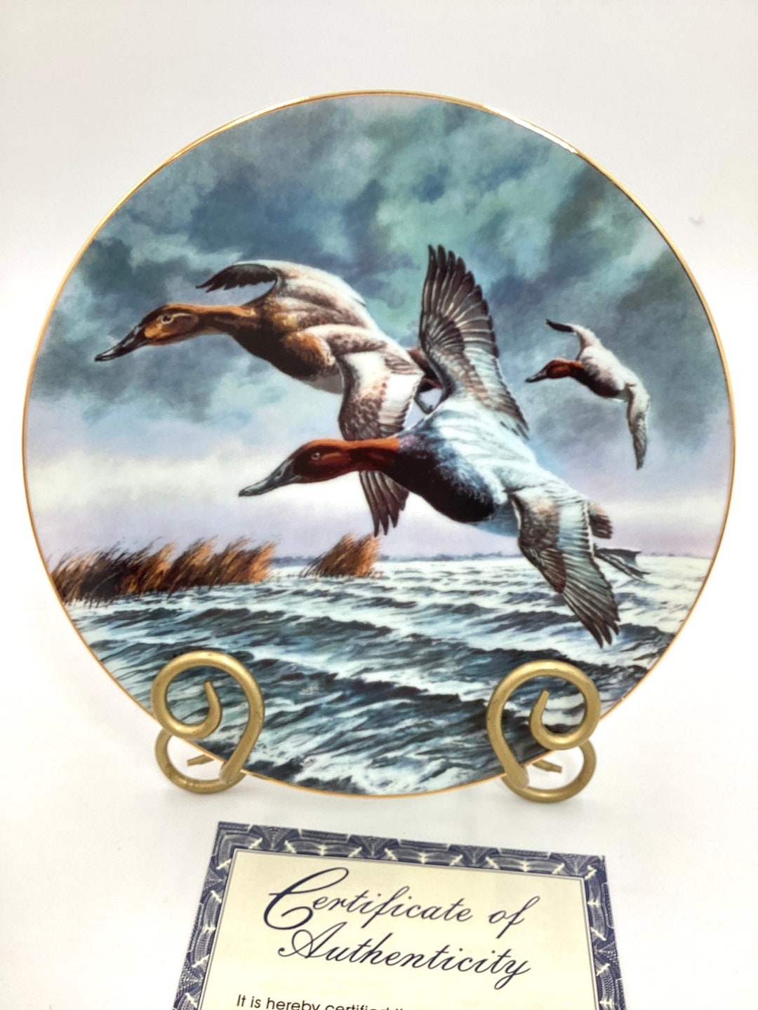 David Maass Canvasbacks Collector Plate, 1990s Wildlife Art (B.7) - Etsy