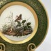 RARE Vintage Limited Edition Lockhart Birds Dinner Plate by - Etsy