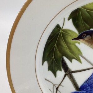 Decorative Plate Bird Plate Eastern Blue Bird Plate Wall Decor ...
