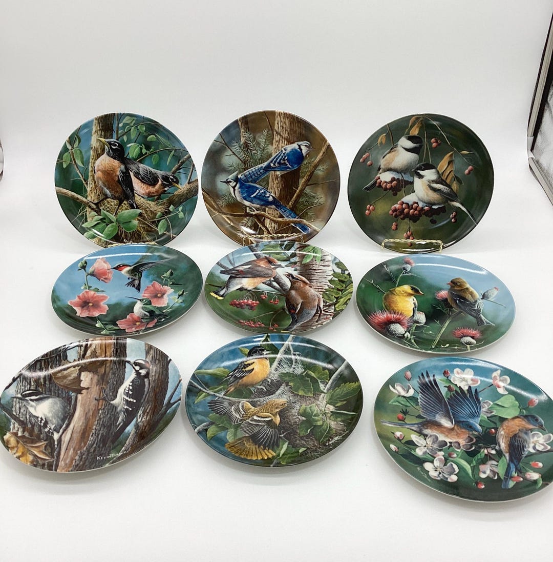 Large Set Plate Collectible Bird Plate Wall Decor Bird Lover Gift Cabin ...