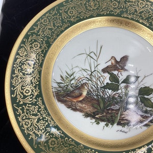 RARE Vintage Limited Edition Lockhart Birds Dinner Plate by Pickard ...