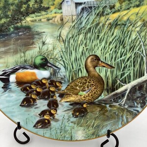 Duck Decorative Plate 1980’s Cabinet Plate Cottage Duck Plate Wall ...