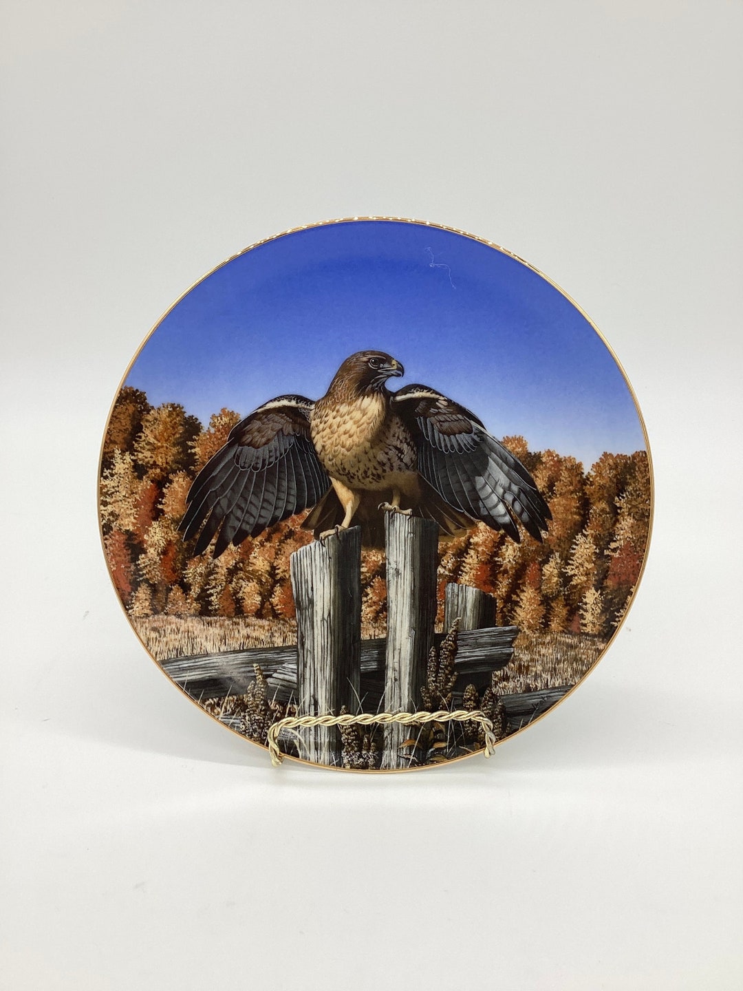 Wall Decoration Hawk Plate Majesty of Flight Red Tail Hawk Bird Plate ...