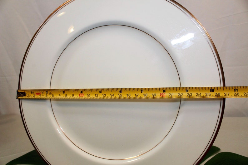 Mikasa Narumi Wheaton Bone China, Gold Accent 5-piece Place Setting (A ...