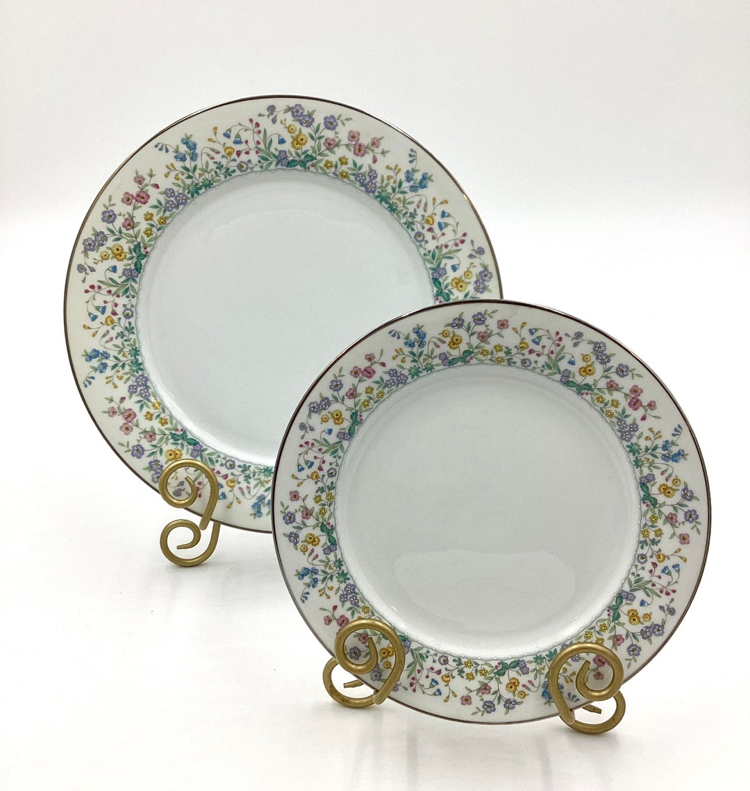 Noritake Spring Garden Dinner and Salad Plate Set (E.8-2) - Etsy