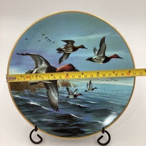 Vintage Duck Decorative Plate, 1980s Collector's Cabinet Plate (V8-12 ...