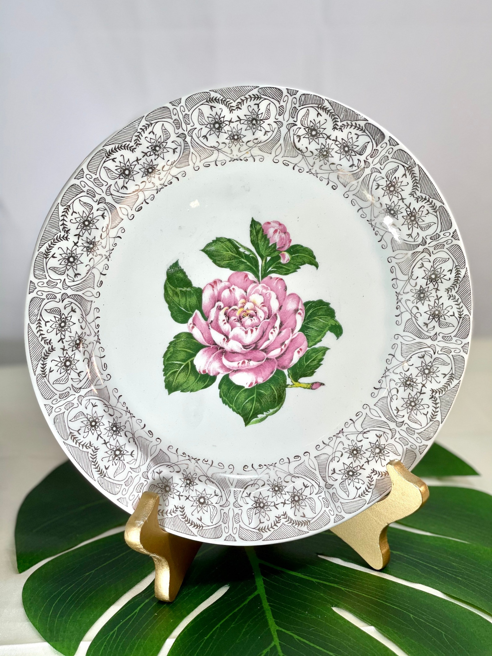 The Cronin China Minerva Ohio Dining Plate P - Etsy