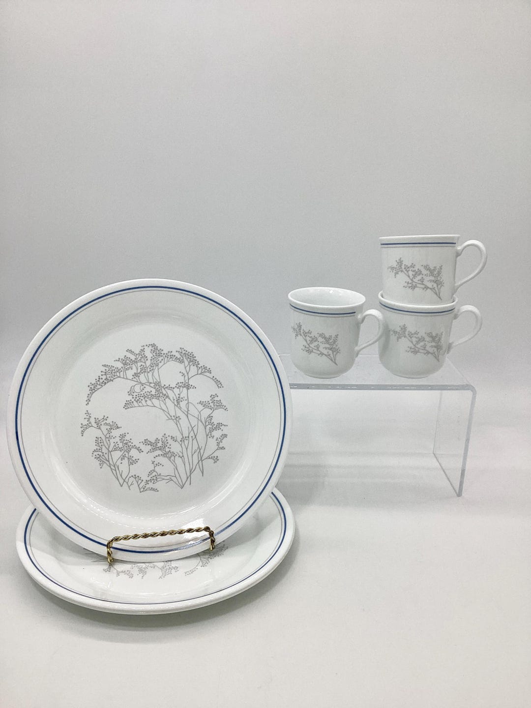 Vintage Corelle Queen's Lace Dinnerware Set: Plates and Mugs (W.9-1120 ...