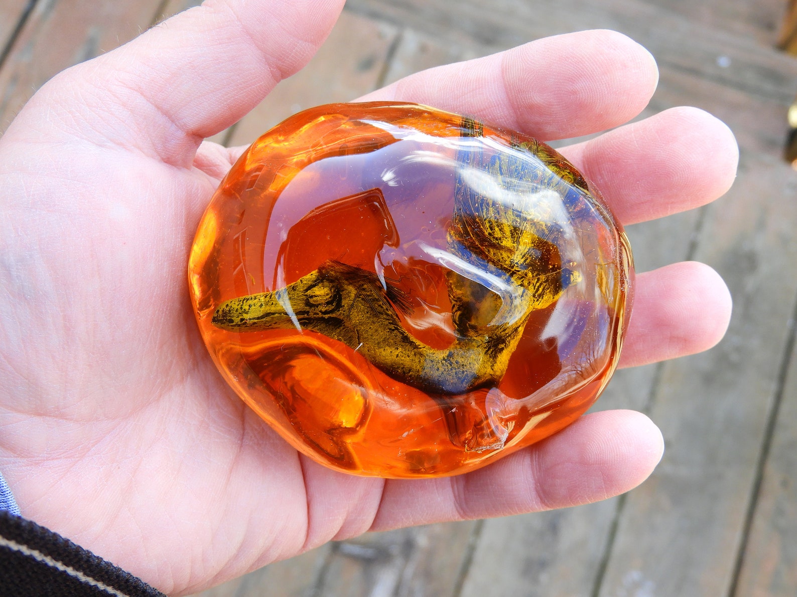 Feathered Dinosaur Preserved in Amber Fossil Hatchling Replica | Etsy