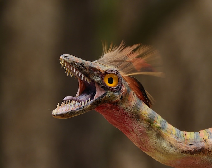 Feathered Compsognathus Life-size Replica Dinosaur Model Compy - Etsy