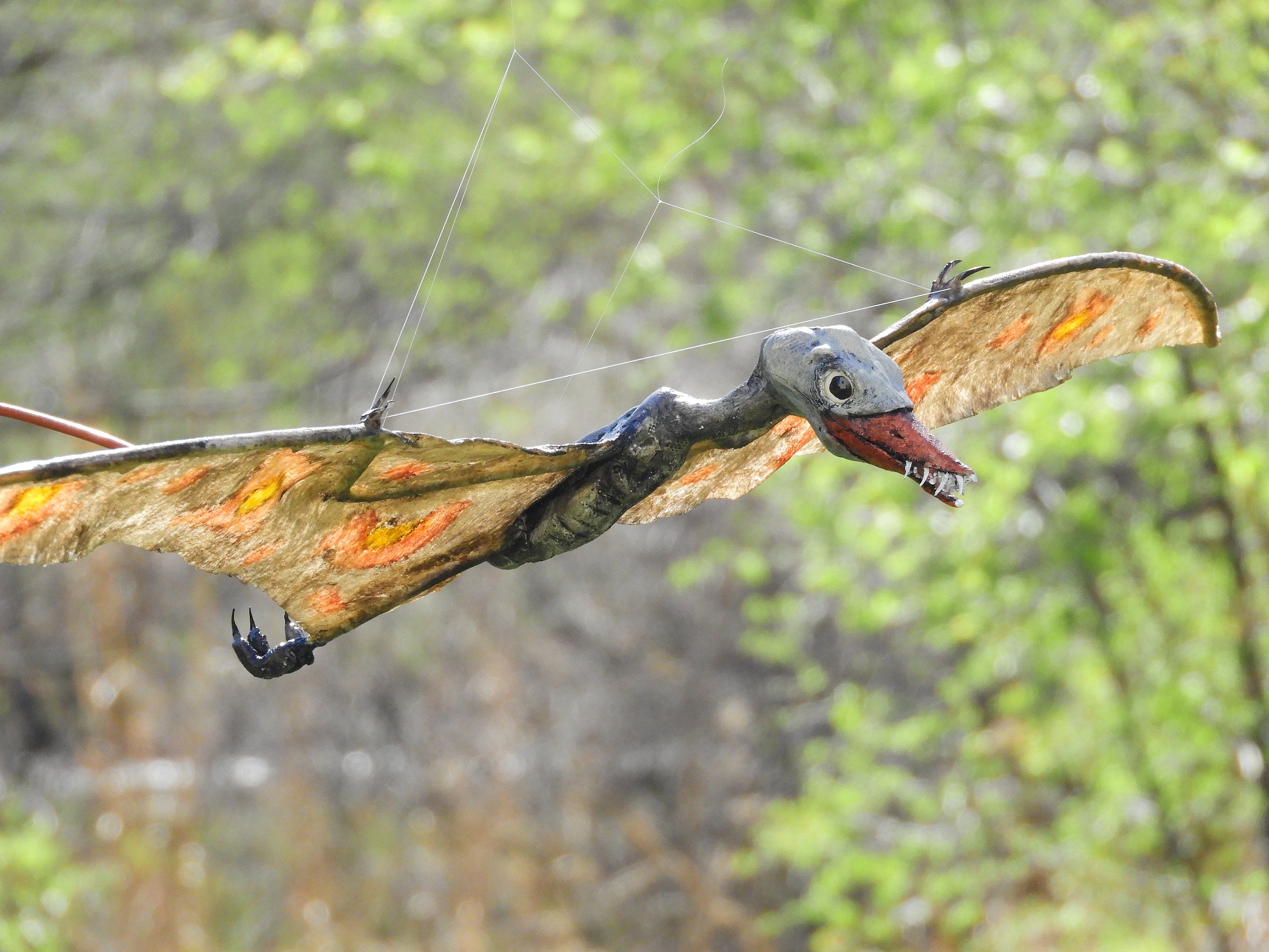Rhamphorhynchus Female "hunting" Replica Pterodactyl Model Custom - Etsy