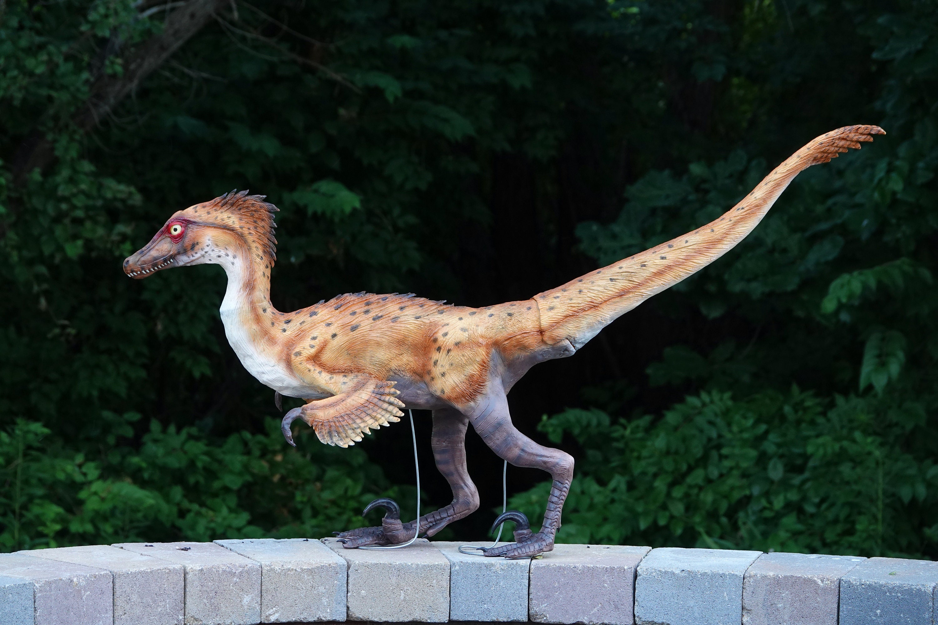 Velociraptor Feathers