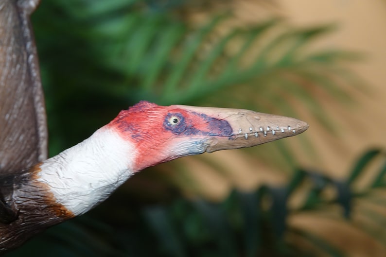 Darwinopterus Female Replica Pterodactyl Model Custom - Etsy