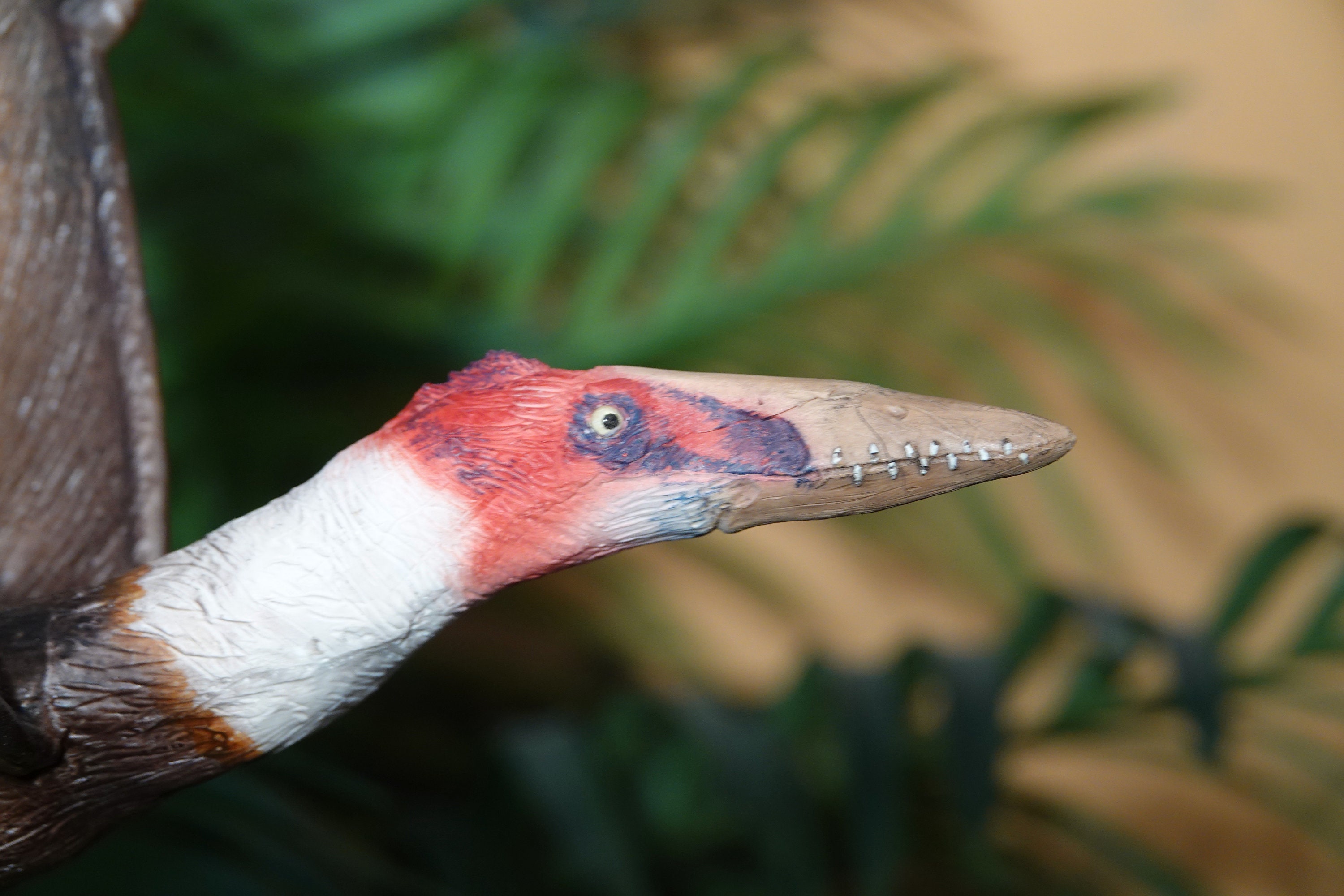 Darwinopterus Female Replica Pterodactyl Model Custom - Etsy