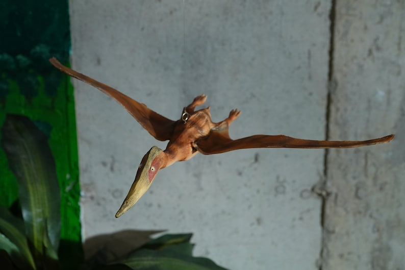 Alcione Replica Pterodactyl Model Custom "budget Pterosaur" - Etsy