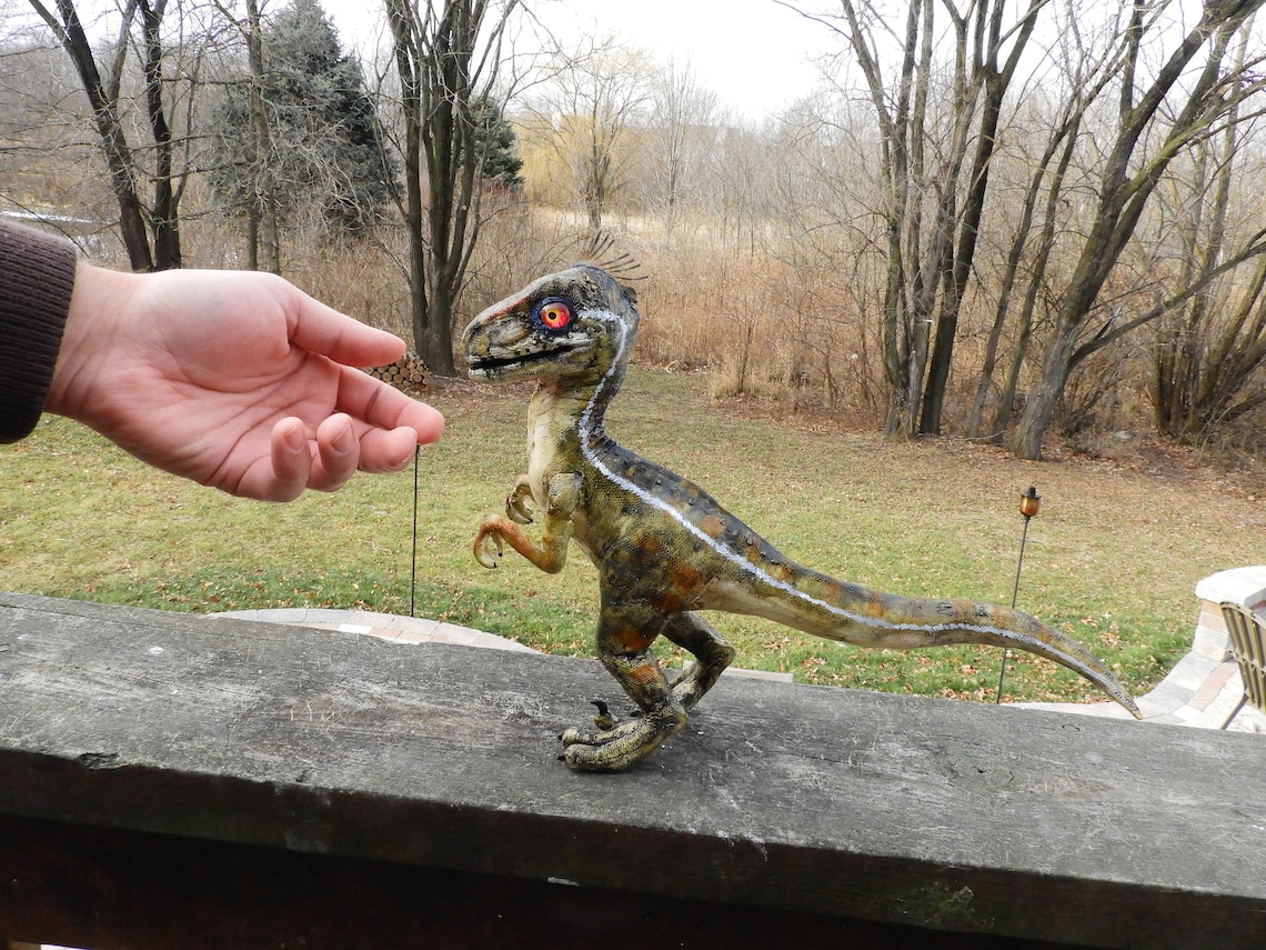 Velociraptor Baby Made to Order Replica Dinosaur Prop - Etsy