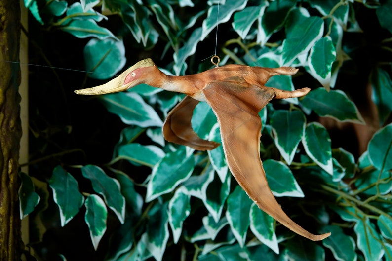 Alcione Replica Pterodactyl Model Custom "budget Pterosaur" - Etsy