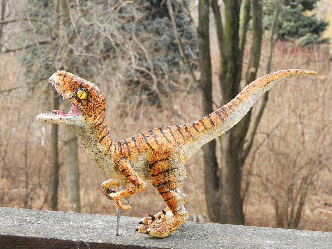 Velociraptor Baby Made to Order Replica Dinosaur Prop - Etsy