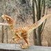 Velociraptor Baby Made to Order Replica Dinosaur Prop - Etsy