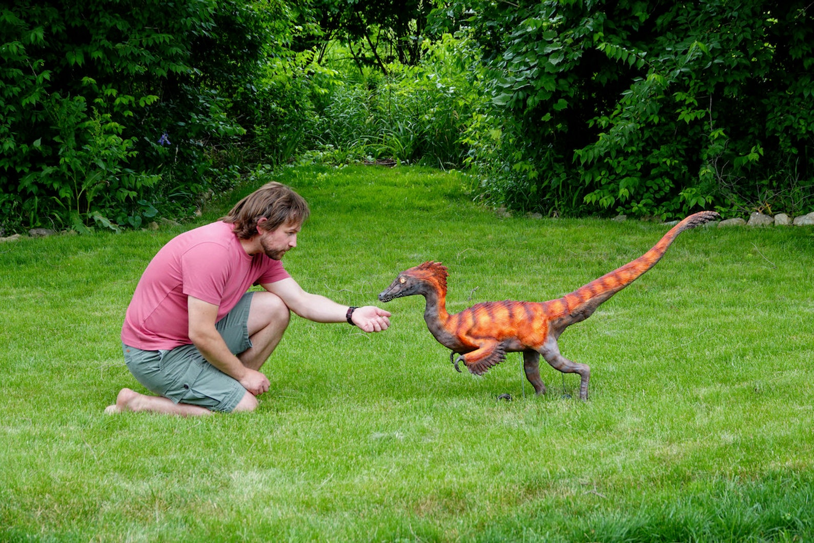 Feathered Velociraptor Life Size Replica Model - Male - Etsy