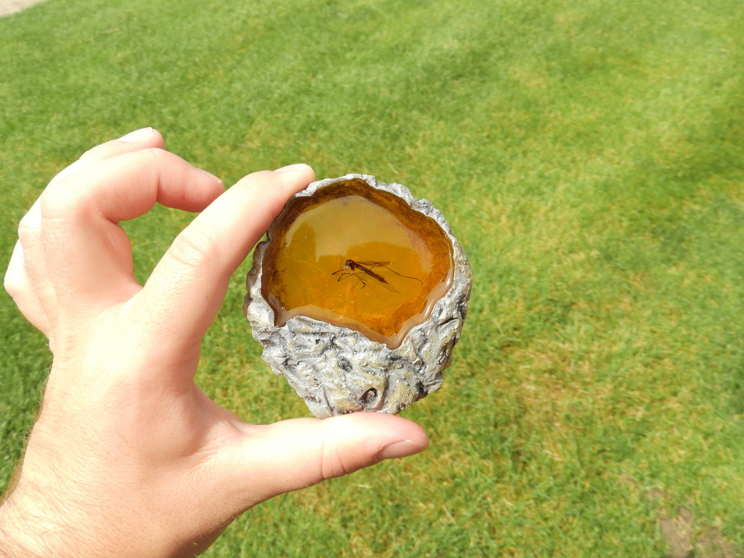 Mosquito in Amber Prop Replica - Etsy