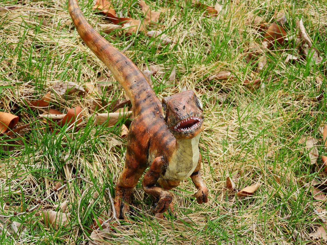 Velociraptor Baby Made to Order Replica Dinosaur Prop - Etsy
