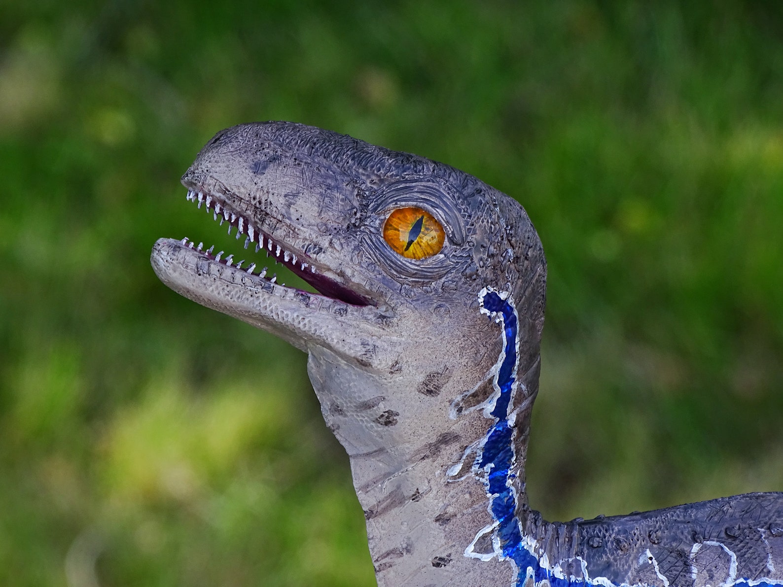 Velociraptor Baby Made to Order Replica Dinosaur Prop - Etsy