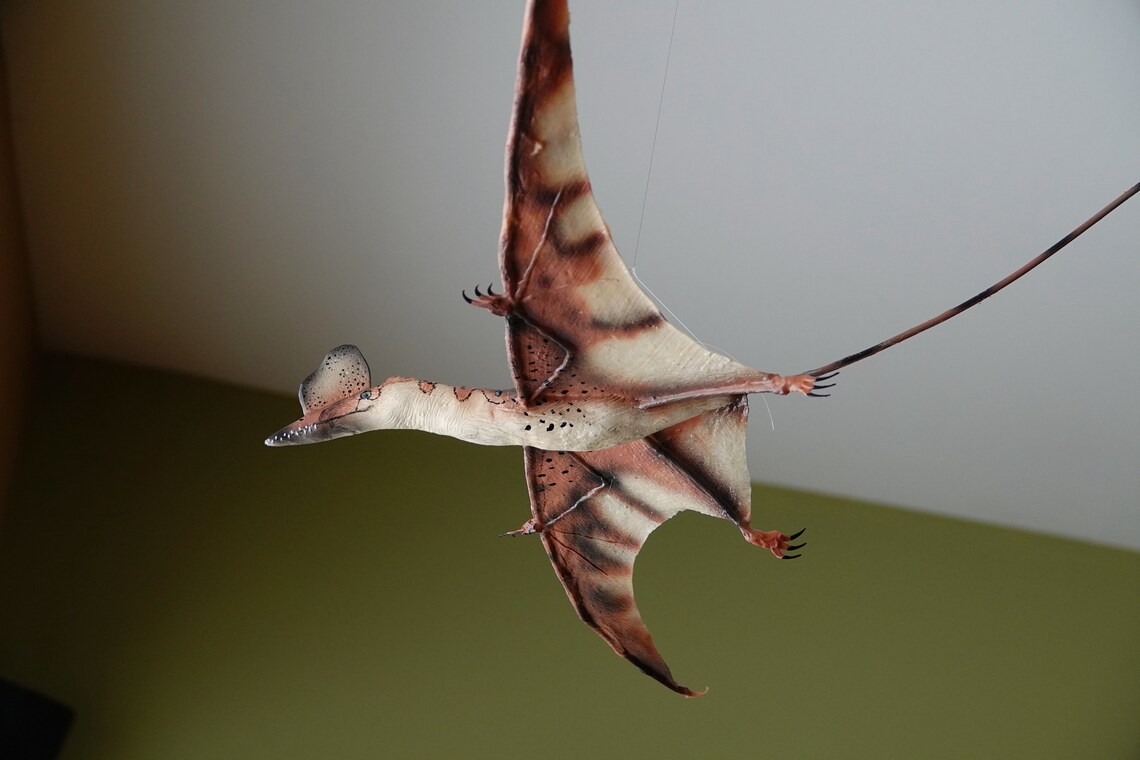 Darwinopterus Male gliding Replica Pterodactyl - Etsy