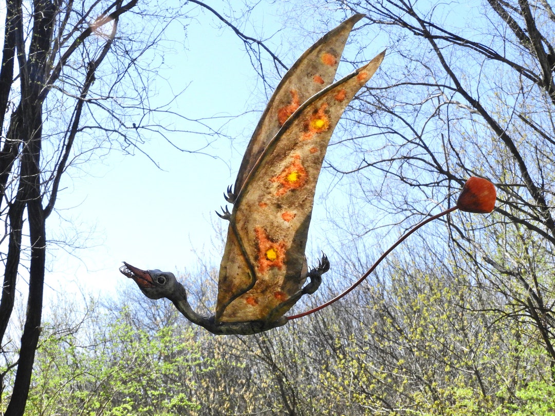 Rhamphorhynchus Female "swooping" Replica Pterodactyl Model Custom - Etsy