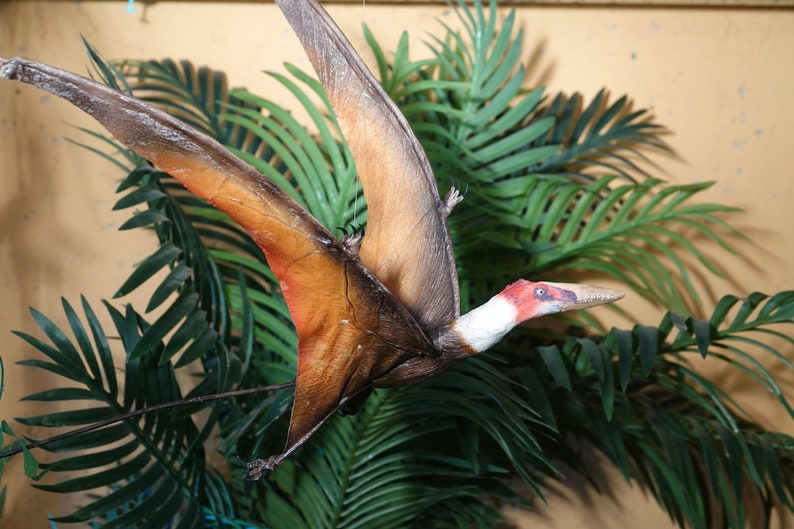 Darwinopterus Female Replica Pterodactyl Model Custom - Etsy