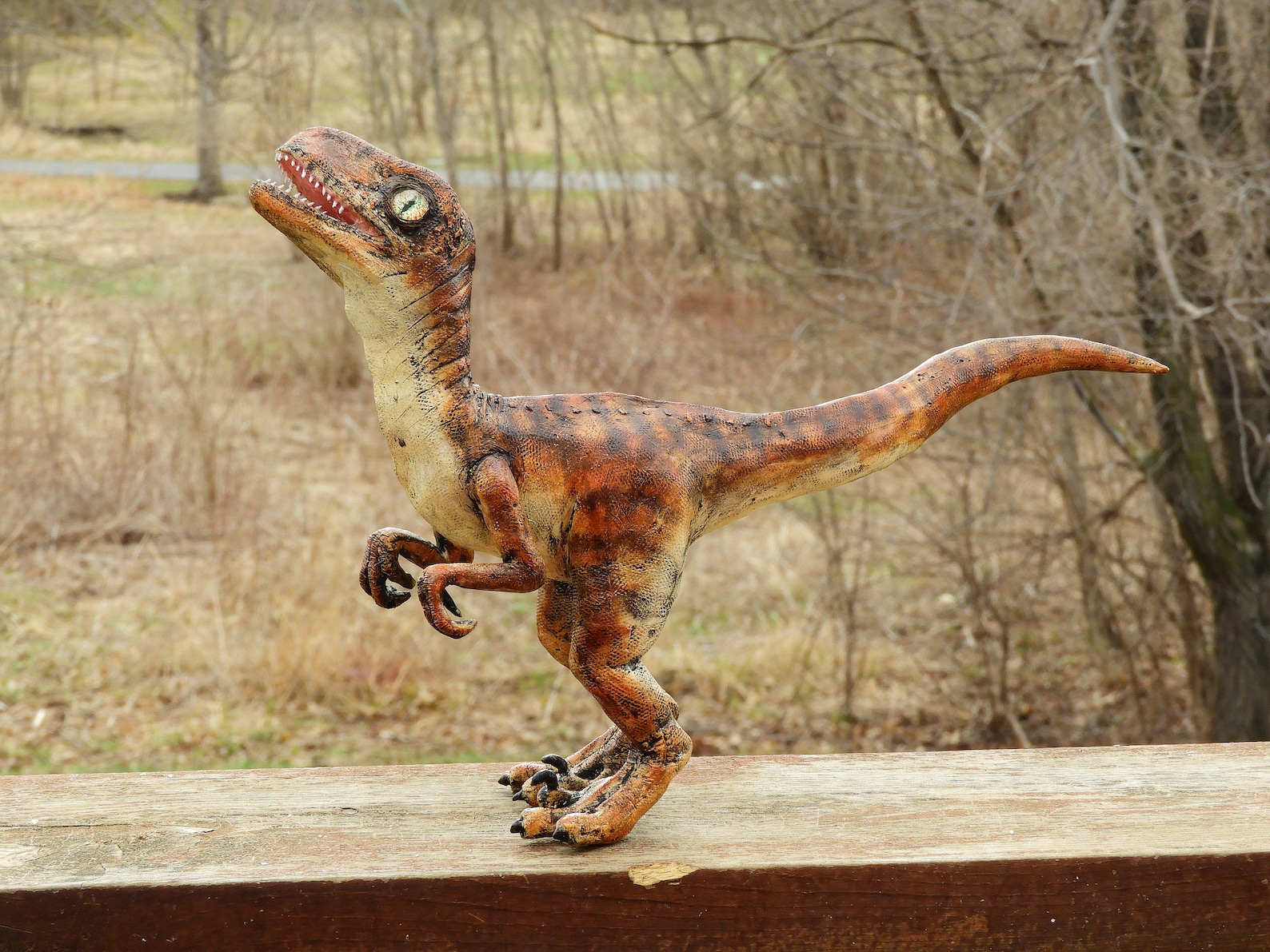 Velociraptor Baby Made to Order Replica Dinosaur Prop - Etsy