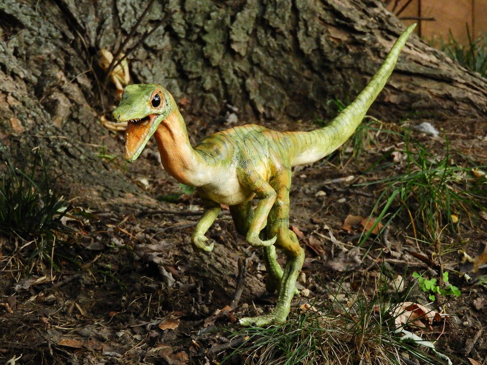 Compy Life-Size Outdoor Replica Dinosaur Model | Etsy