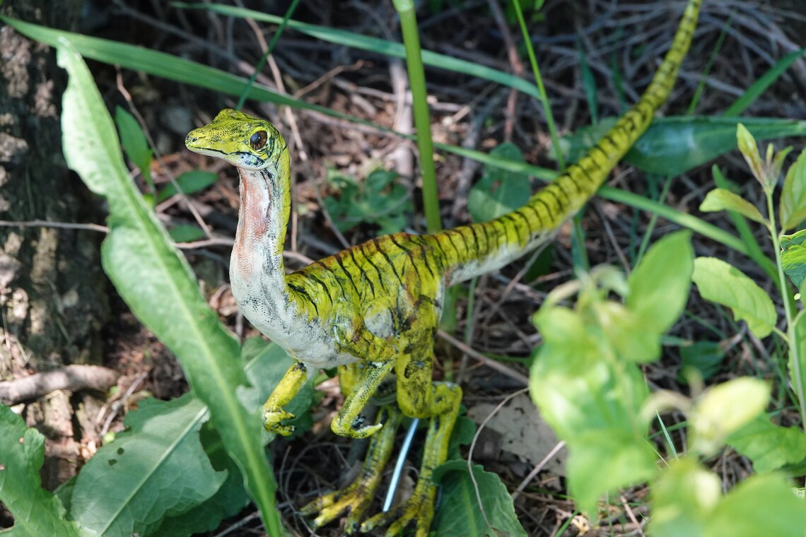 Compy Life-Size Outdoor Replica Dinosaur Model | Etsy