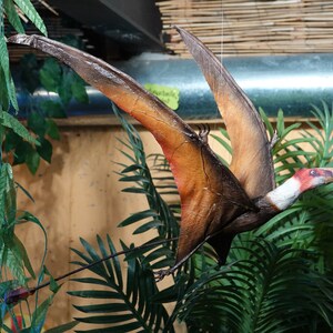 Darwinopterus Female Replica Pterodactyl Model Custom - Etsy