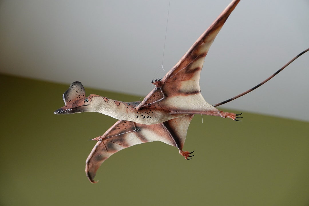 Darwinopterus Male "gliding" Replica Pterodactyl Model Custom - Etsy