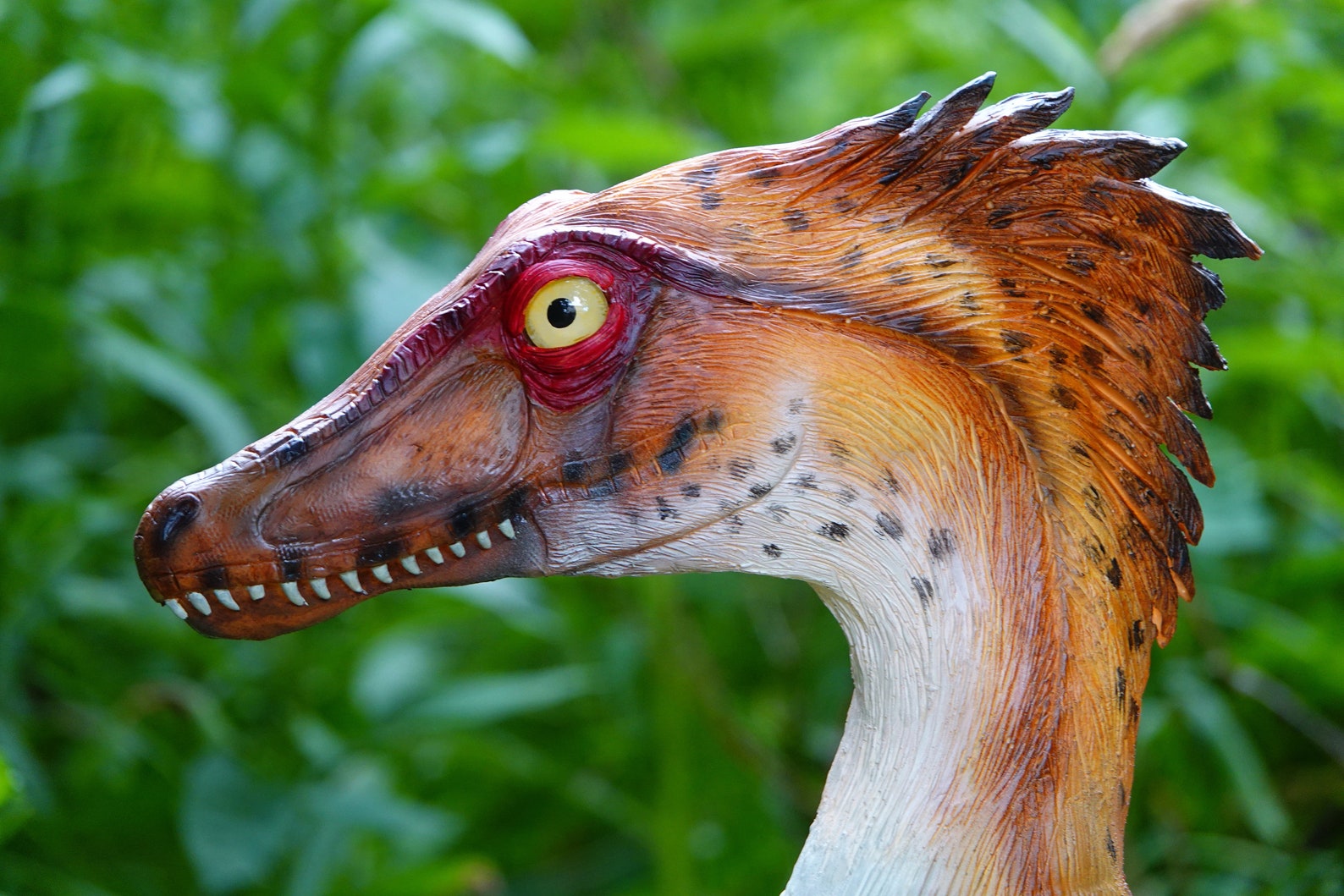 Feathered Velociraptor Life Size Replica Model - Female - Etsy