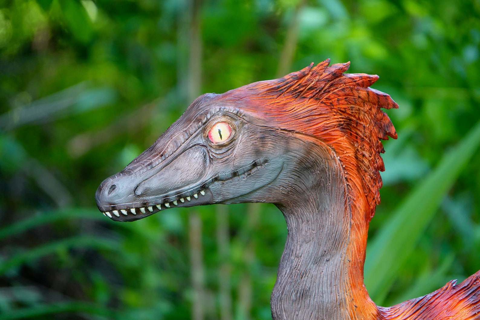 Feathered Velociraptor Life Size Replica Model | Etsy