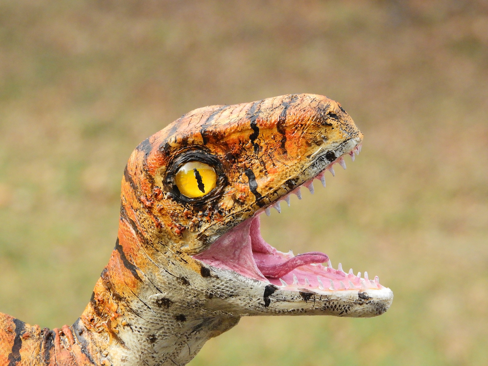Velociraptor Baby Made to Order Replica Dinosaur Prop - Etsy