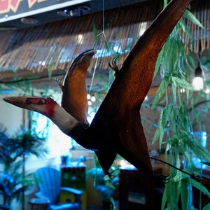 Darwinopterus Female Replica Pterodactyl Model Custom - Etsy