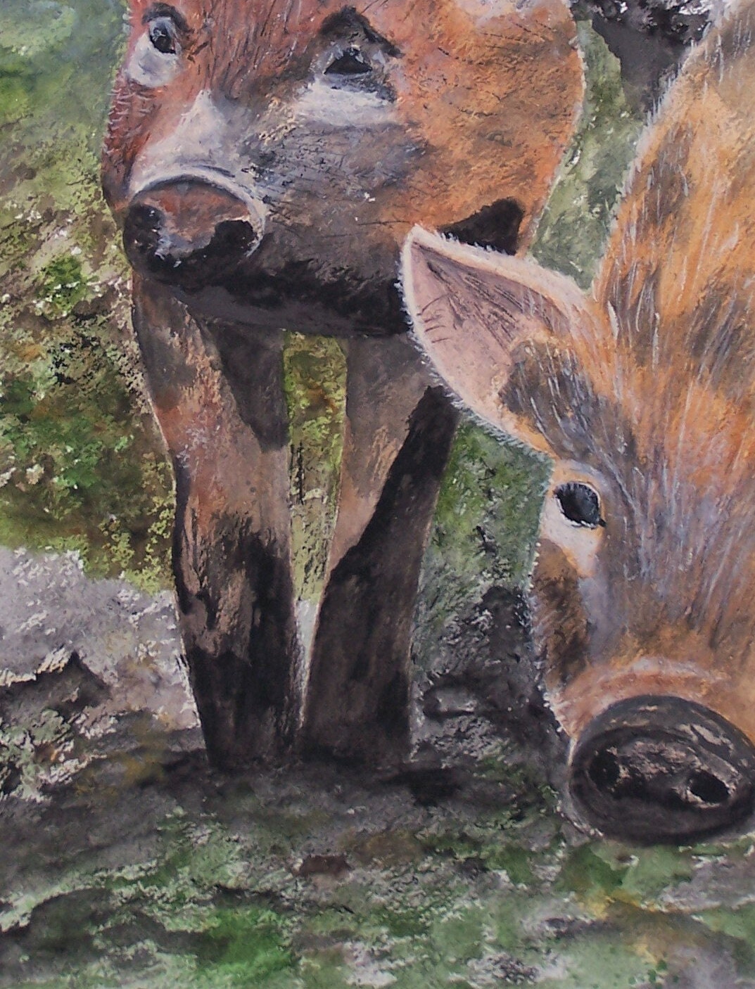 Pig Painting, Painting of Three Pigs,barnyard Pigs,colorful Pigs,farm ...