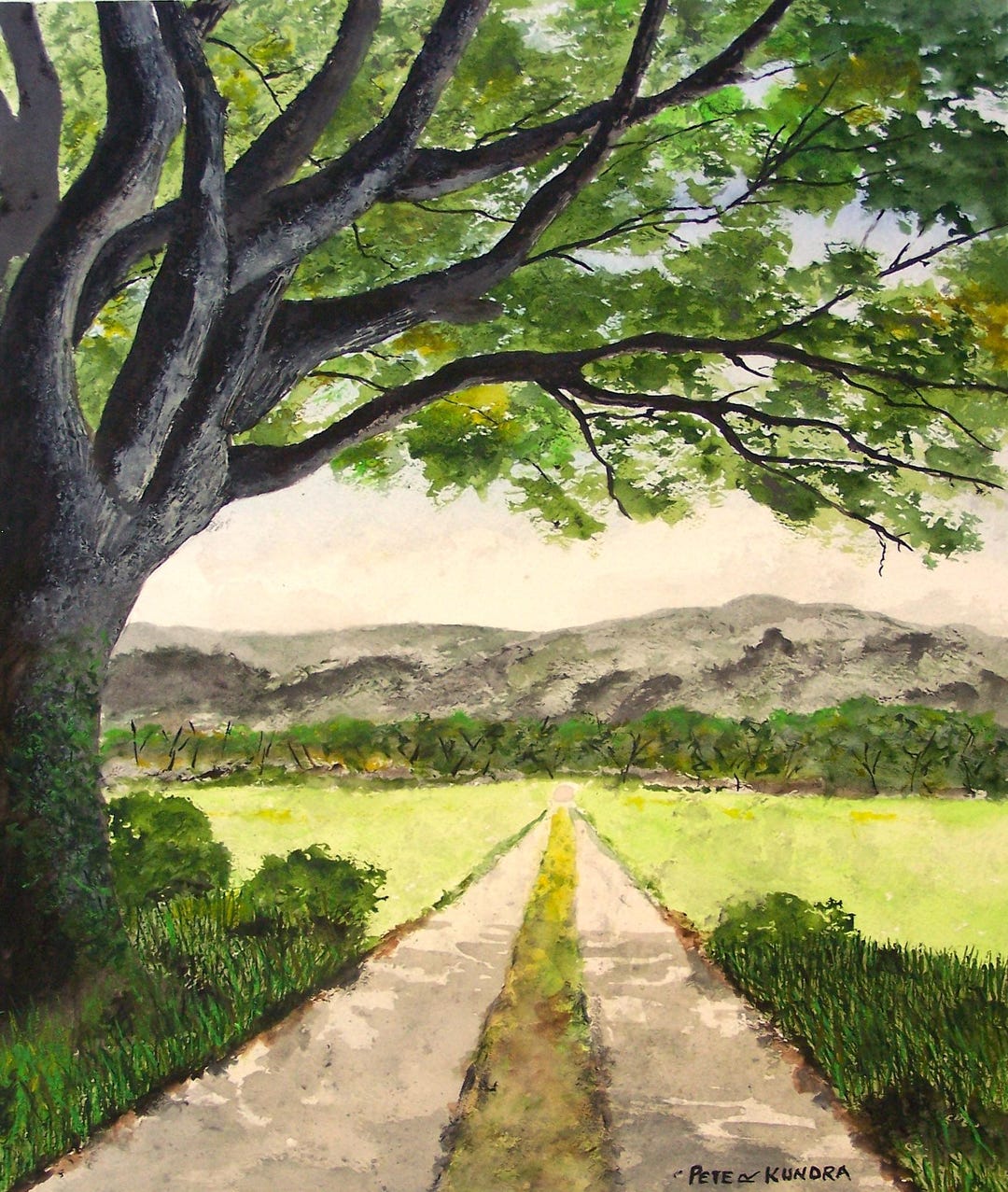 Majestic Tree Painting,tree Landscape Scene,distant Mountains, Dirt ...