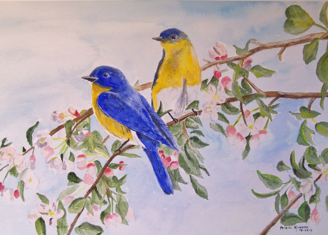 Painting of Bluebirds,bluebirds in Tree,colorful Bird Painting,dogwood ...