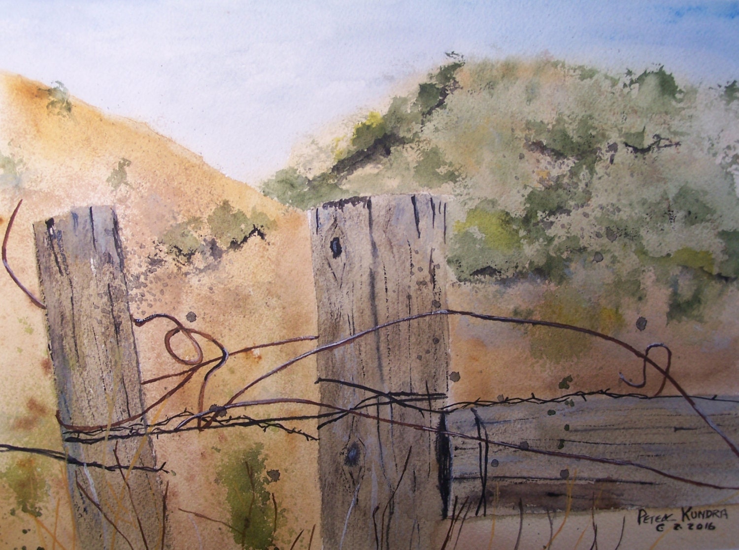 Painting of Wood Fence, Fence Painting,"tangled Wire",barbed Wire ...