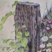 Landscape Scene,old Fence Post, Fence Post With Colorful Flowers,split ...