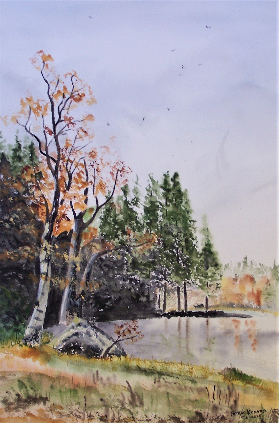 Lake Reflections,wooded Scene,lake Landscape,pine Trees,reflections in ...