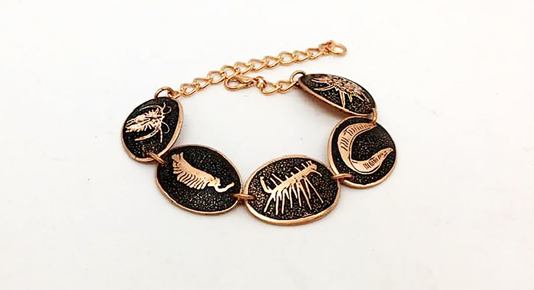 Burgess Shale Fauna Etched in Copper Link Bracelet - Choice of Three - Etsy