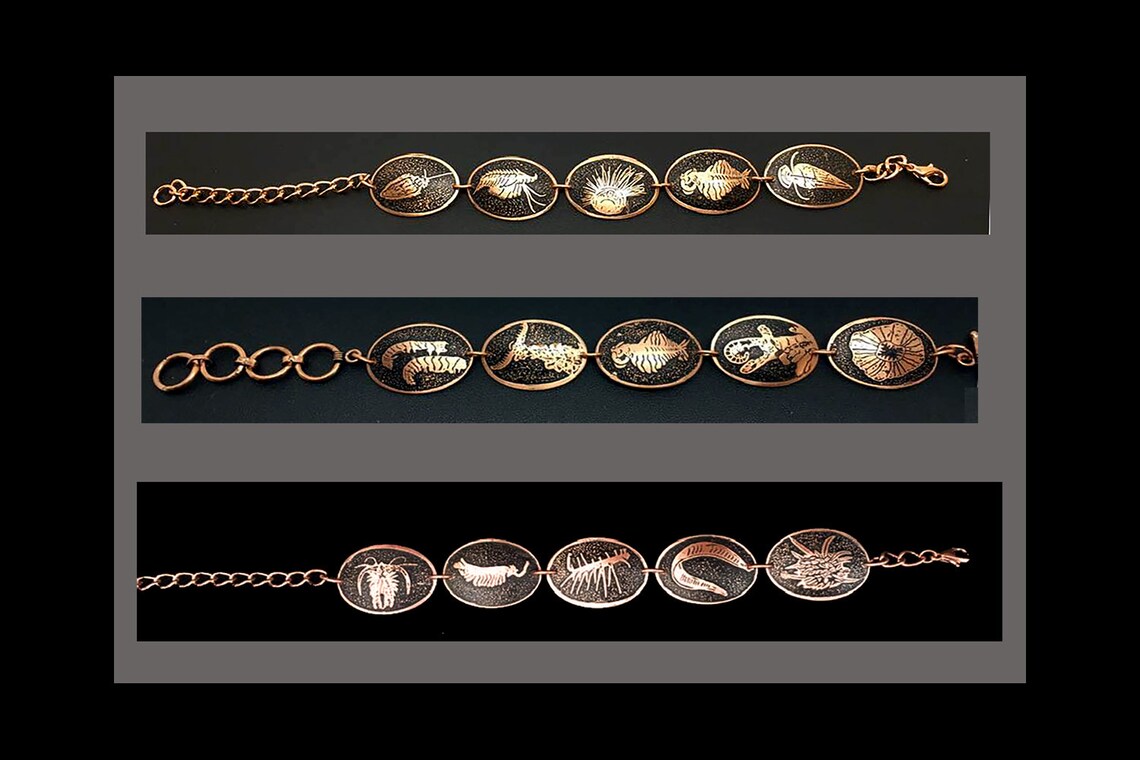 Burgess Shale Fauna Etched in Copper Link Bracelet Choice of - Etsy