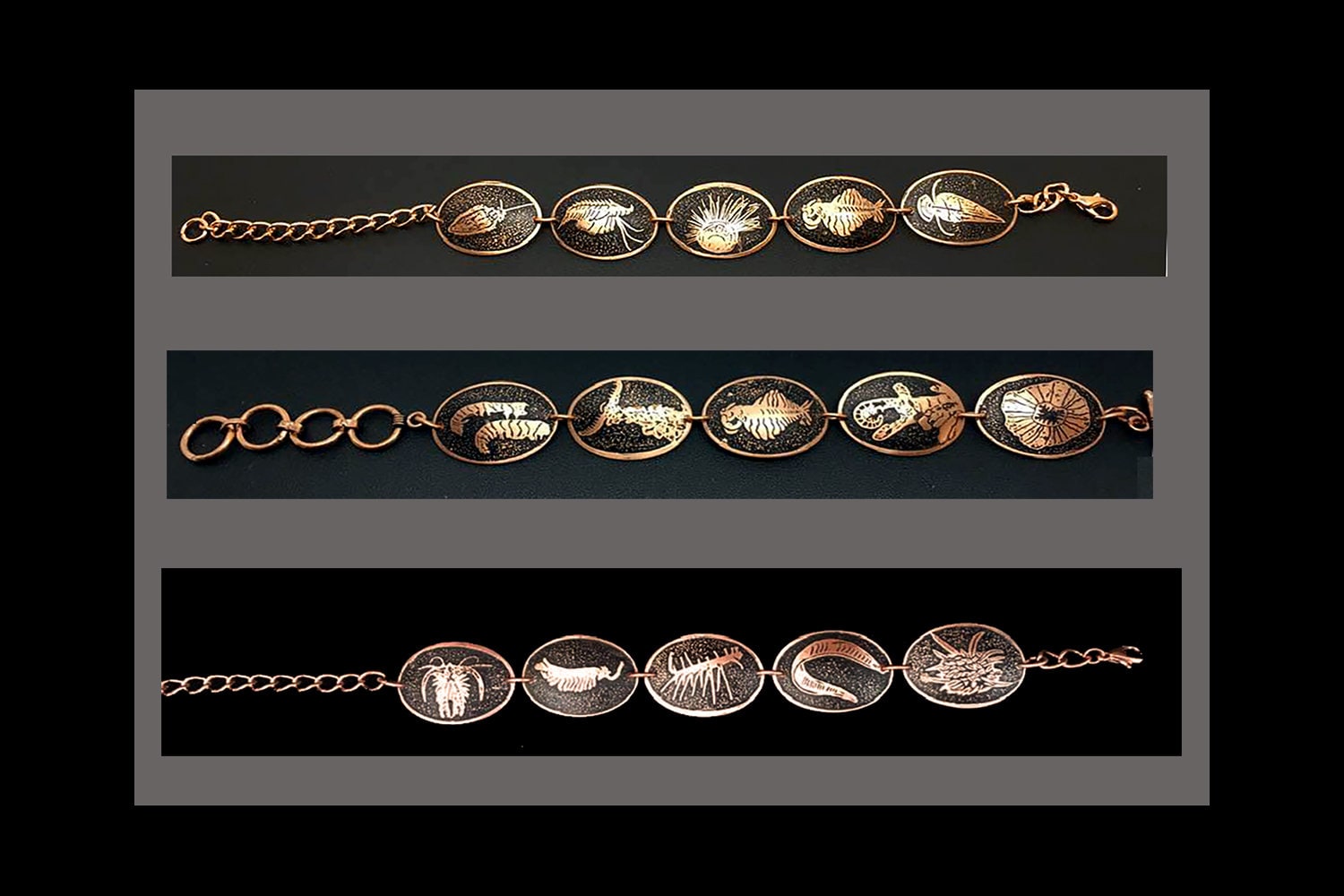 Burgess Shale Fauna Etched in Copper Link Bracelet - Choice of Three - Etsy